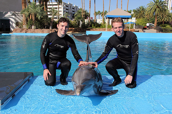 Swimming with the Dolphins in Las Vegas - Travel Codex