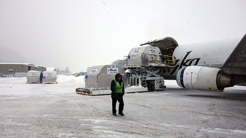 Alaska Airlines Confirms the 737 Combi Will Leave Its Fleet - Travel Codex