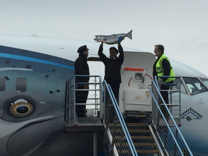 Alaska Airlines Delivers First Copper River Salmon of 2019