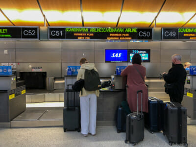 Review: SAS A330 Business Class, Los Angeles to Copenhagen - Travel Codex