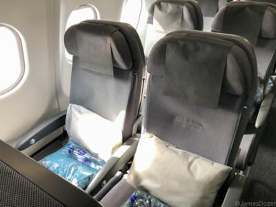 Review: SAS A330 Economy Class, Copenhagen to Los Angeles - Travel Codex