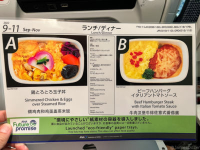 Review: ANA Boeing 787 Economy Class, Tokyo Haneda to Los Angeles ...