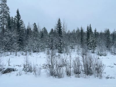 Review: Santa Claus Express Train, Helsinki to Rovaniemi-Lapland ...