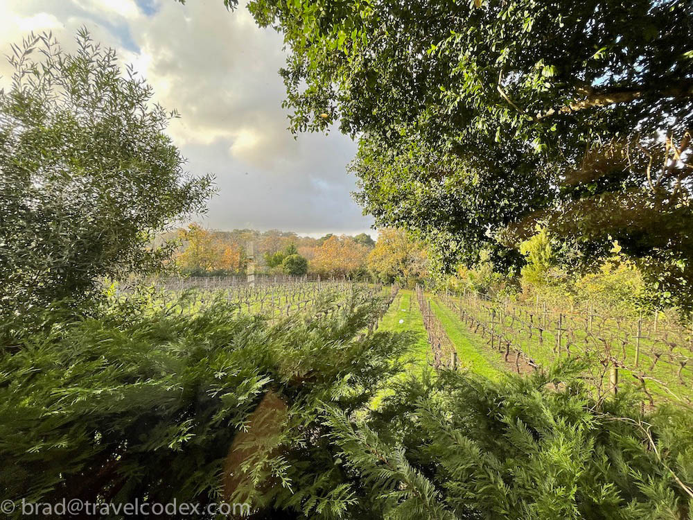 Review: The Cellars-Hohenort, an SLH property in Cape Town - Travel Codex