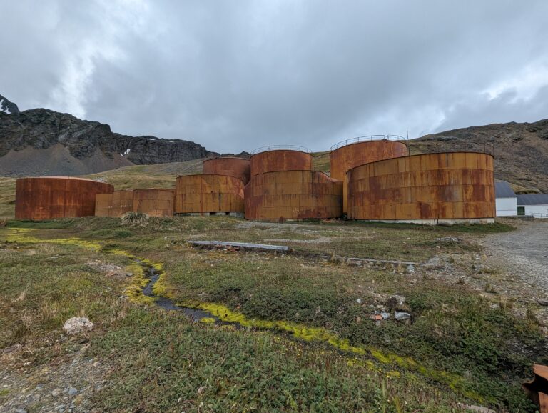 South Georgia and the South Sandwich Islands - Travel Codex