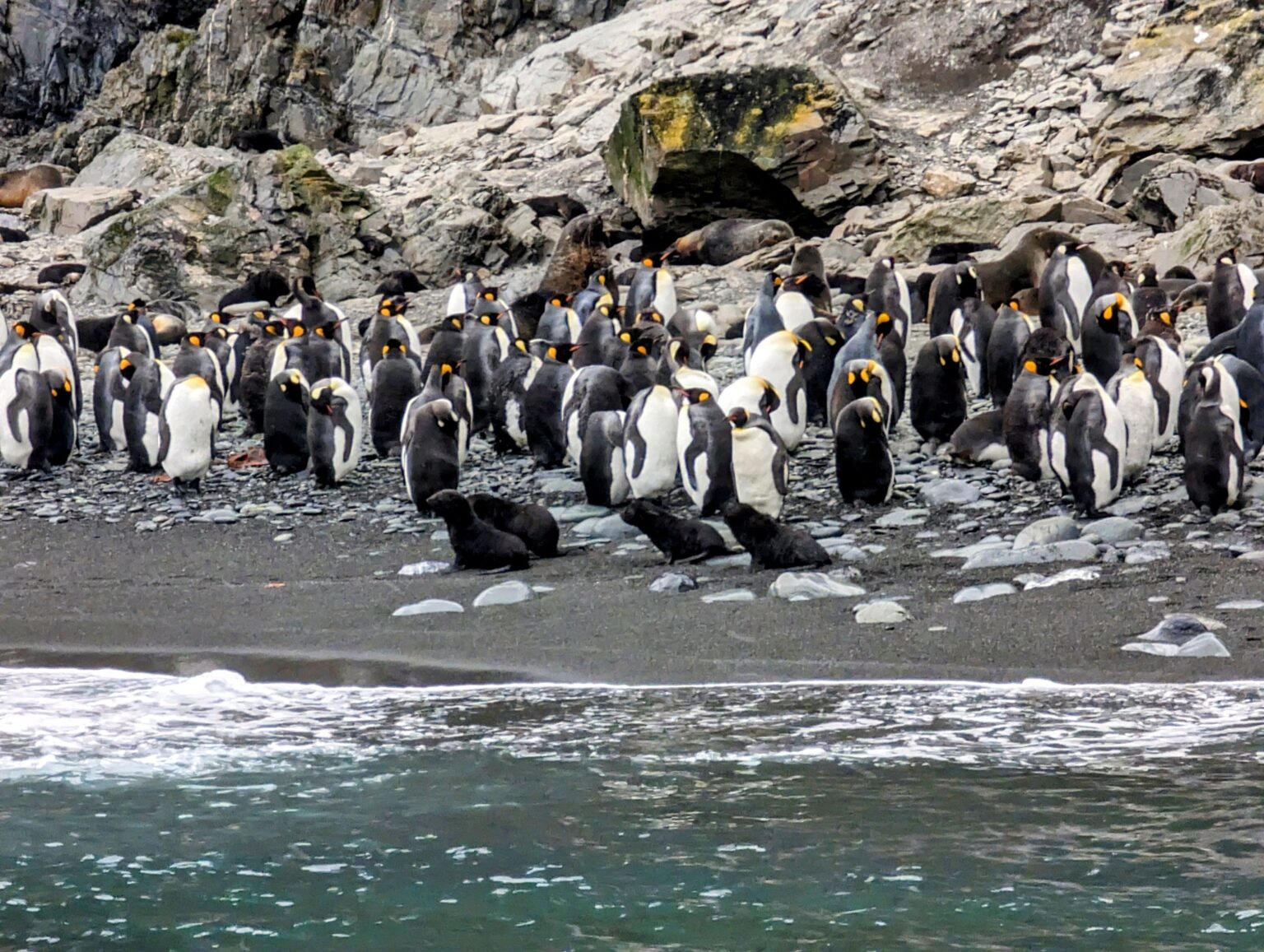 South Georgia and the South Sandwich Islands - Travel Codex