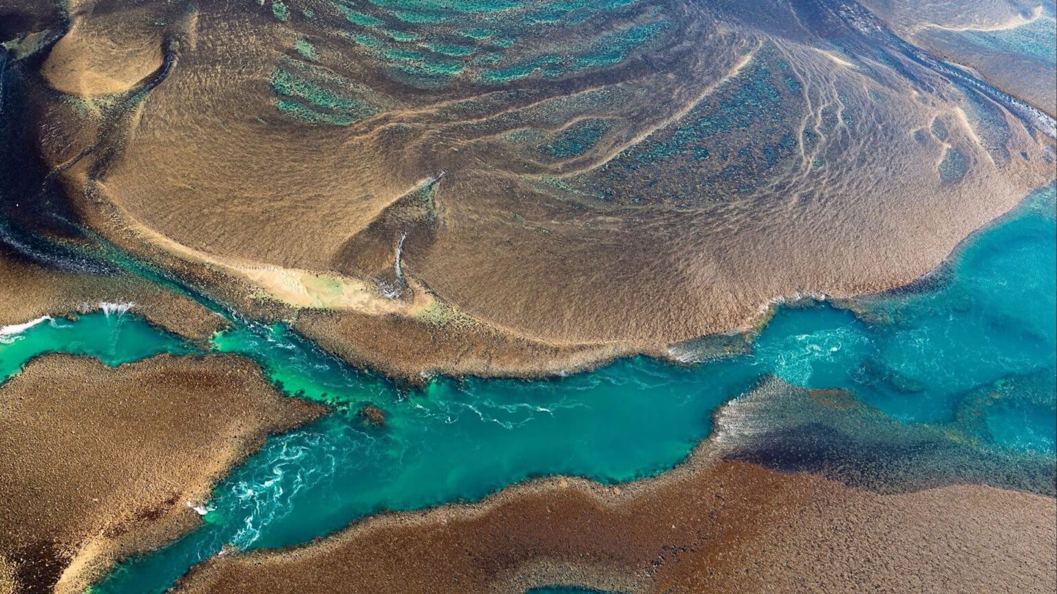 Huge Seabourn Discount: Antarctica & Australia - Travel Codex